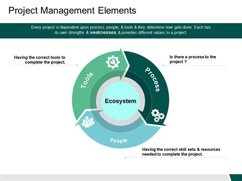 Project Management Elements Ecosystem Ppt Powerpoint Presentation