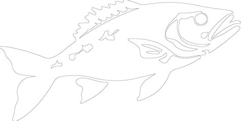 Cod Outline Silhouette 38491138 Vector Art At Vecteezy