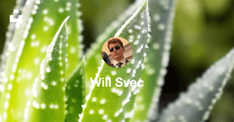 Will Svec Willsvec Communauté Photos Unsplash