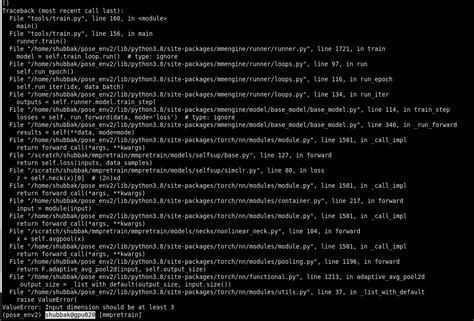 Bug Raise ValueError ValueError Input Dimension Should Be At Least