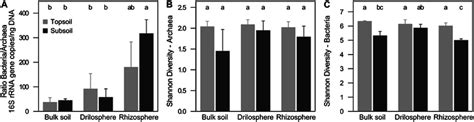 Relation Of 16s Rrna Copies Between Archaea And Bacteria A And