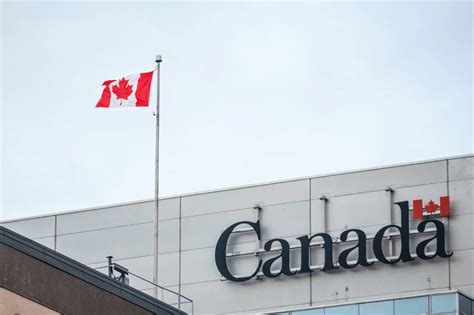 Linking Your Paper Application To Your Online Ircc Account The Oyi