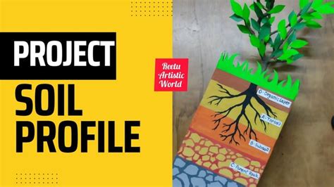 Soil Profile Model Art Integrated Project Science Project Layers Of