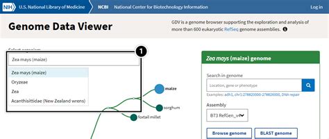 Chapter Introduction To Bioinformatics Molecular Plant Breeding