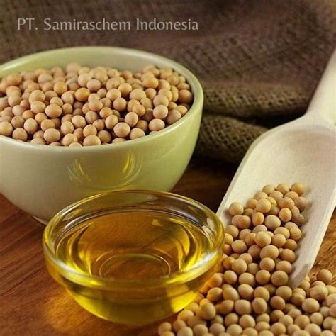 Apa Itu Soya Lecithin Eskstrak Minyak Kedelai Yang Serbaguna