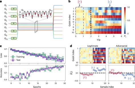 experimental results for learning quantum data a pulse sequences for