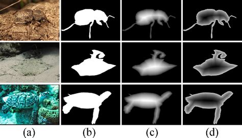 Figure 1 From Decoupling And Integration Network For Camouflaged Object