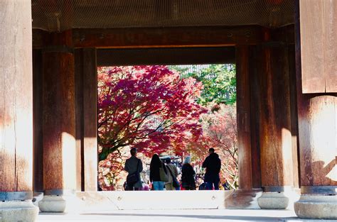 Camel Loop Photography