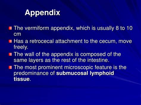 Ppt The Pathology Of Appendix And Peritoneum Powerpoint Presentation