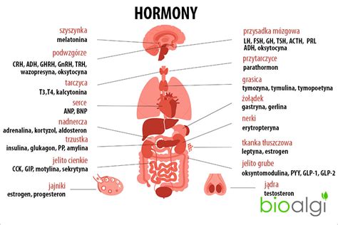 Hormony Bioalgi