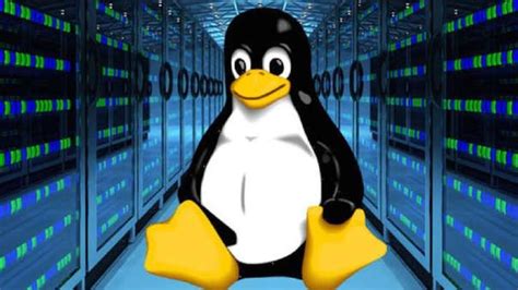 Curso Gratis Para Aprender Linux Desde Cero Cardbiss