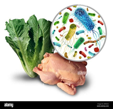 Foodborne Disease Cut Out Stock Images And Pictures Alamy