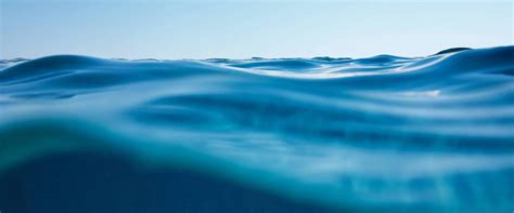 Believers Baptism Who Should Get Baptised And Why