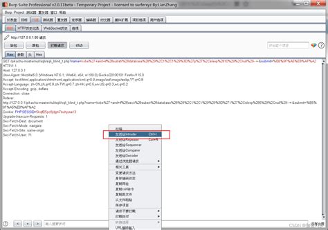 如何使用burpsuite进行时间盲注爆破burpsuite 时间盲注 Csdn博客
