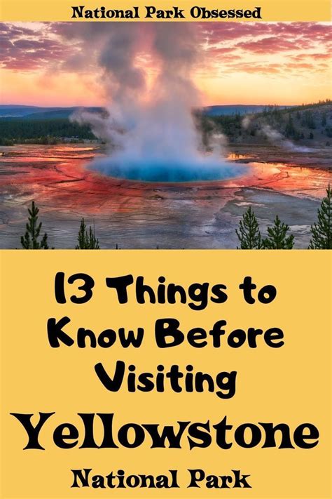 25 Things To Know Before Visiting Yellowstone National Park Visit