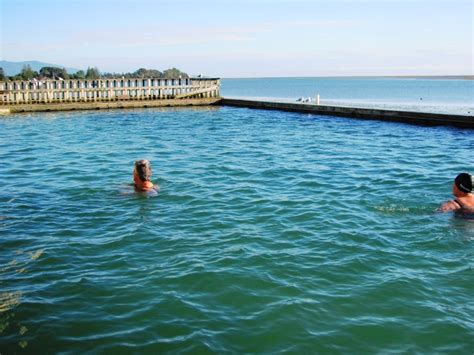 Port Motueka Beach Reserve Overnight Campervan Parking Nelson Region Nz 100 Travel Reviews