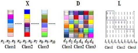 Construction Of L By Applying The Regularization On The Input Download Scientific Diagram