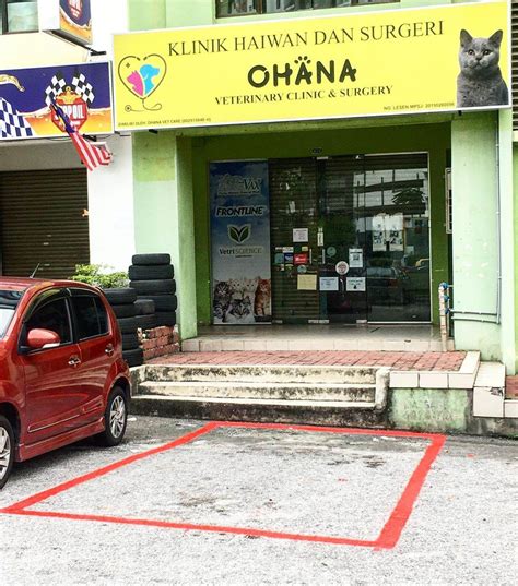 Klinik Haiwan Veterinar Kuala Lumpur 24jam Nerveploaty