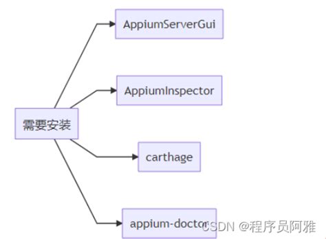 全网最细最全Appium自动化测试 iOS入门教程App自动化测试教程精细整理 appium ios CSDN博客