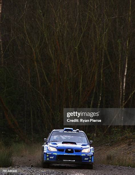 82 Penllergaer Forest Photos And High Res Pictures Getty Images