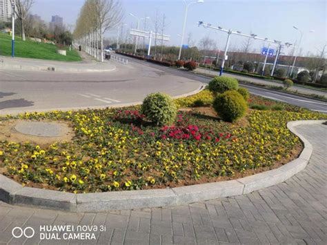 淮北市园林处为相城调色添彩 完成春季草花更换工作 淮北市住房和城乡建设局