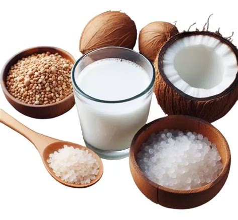 Kit Kefir De Leite De Coco E Kefir De Agua Frete Gratis Parcelamento Sem Juros
