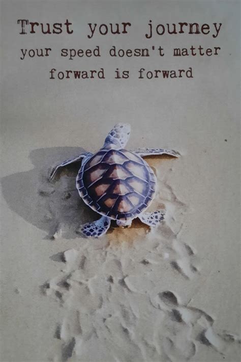 Dr Shenzhi Su On Linkedin The Year 2024 Has Been An Unusual One Filled With Both Frustrations