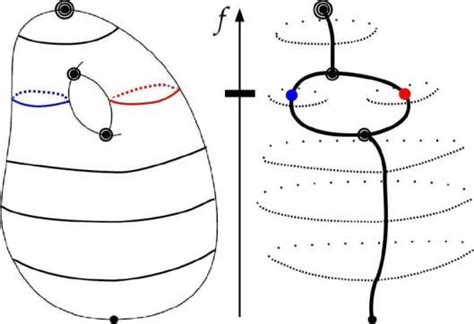 Reeb Graph Of A Simple Shape Download Scientific Diagram