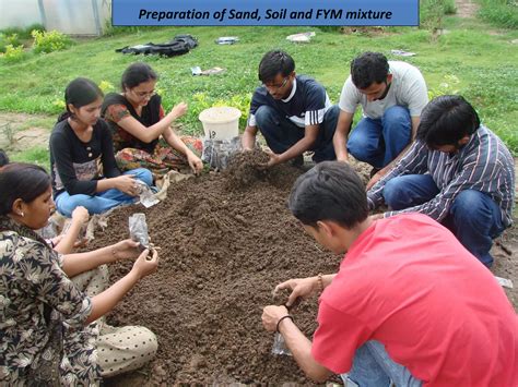 Crops For Protected Cultivation Ppt