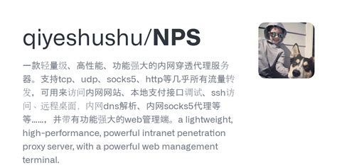 Github Qiyeshushunps 一款轻量级、高性能、功能强大的内网穿透代理服务器。支持tcp、udp、socks5、等几乎所有流量转发，可用来访问内网网站、本地支付