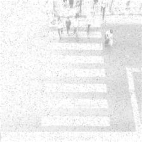 Prueba Object Detection Dataset And Pre Trained Model By Rojas