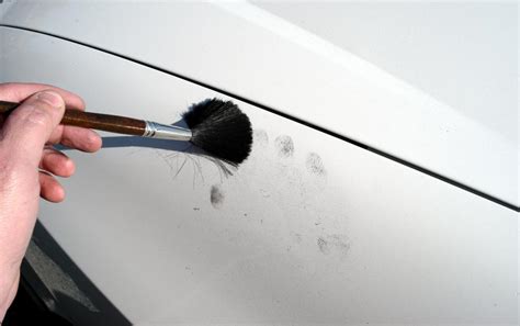 What Is Fingerprint Dusting With Pictures