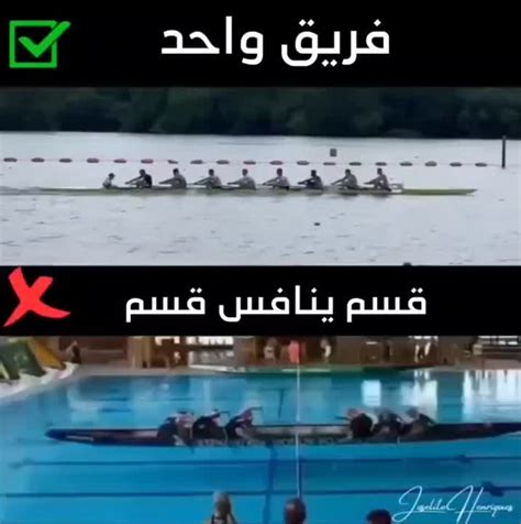 Islam Hamdy Posted On Linkedin