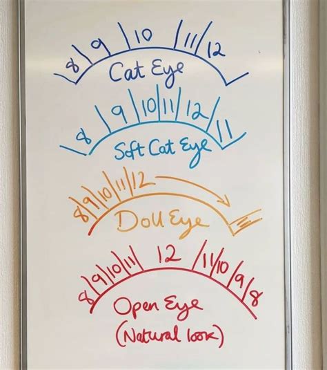 The Lash And Beauty Academy On Instagram Today S Lesson On The Board