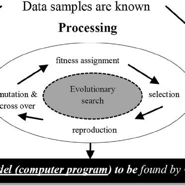 Conceptual Scheme Of Input Process Output IPO In GP Download Scientific Diagram