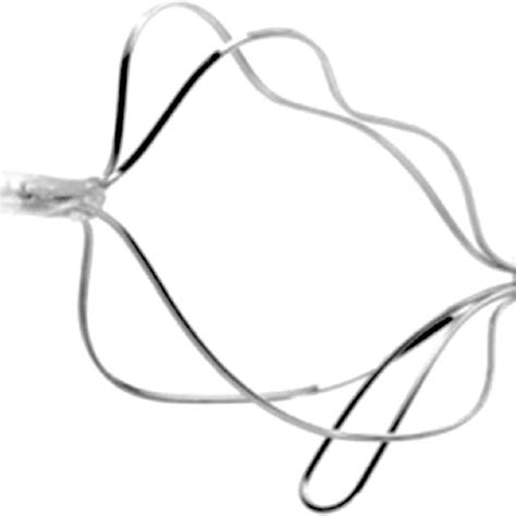 Correct Placement Of The Itind Device At The Level Of The Bladder Neck