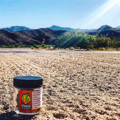 Oasis Farms Cbd 🔥🌵happy Monday From Our Team At Oasis Farms Cbd We