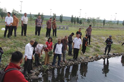 Pemkot Bandar Lampung Tebar 10 Ribu Benih Ikan Di Embung Itera Itera