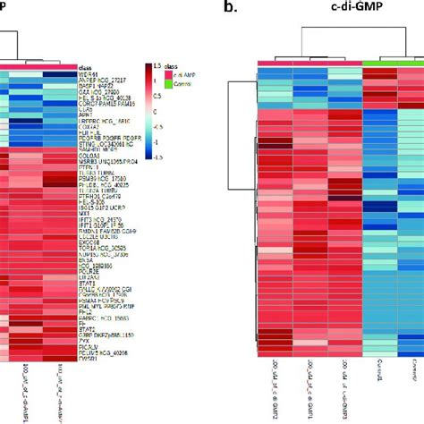 A Heatmap Showing The Top 50 Regulated Proteins Blue Download