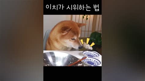 이치가 시위하는 법 ㅋㅋㅋ 네이버 Tv