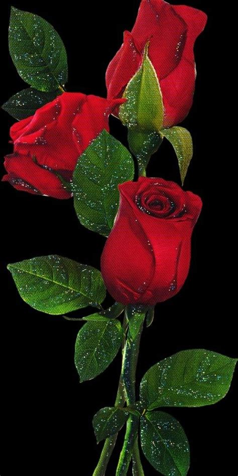 Pin By калейдоскоп On картинки розы Rose Flower Wallpaper