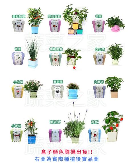 【蔬菜之家滿額免運004 D29】iplant小農場系列 草莓最新發明專利設計可任意組合盆栽 露天市集 全台最大的網路購物市集