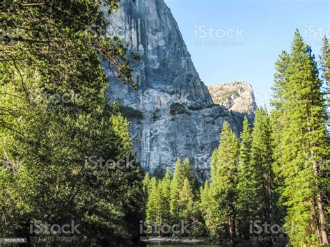 풍경 여름 동안 요세미티 국립 공원에 많은 소나무와 강 높은 산의 보기 0명에 대한 스톡 사진 및 기타 이미지 0명 강 경관 Istock
