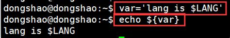 Linux变量的定义、赋值、查看、删除（export、echo、unset）export Unset Csdn博客
