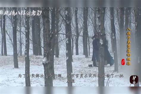 清朝为何无法解决八旗兵的堕落，而且还要养着提笼架鸟的旗人？