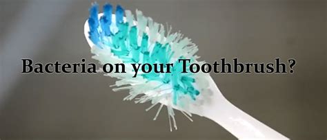Bacteria On Your Toothbrush
