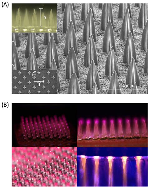 A Scanning Electron Microscope Sem Image Of Optical Four Point