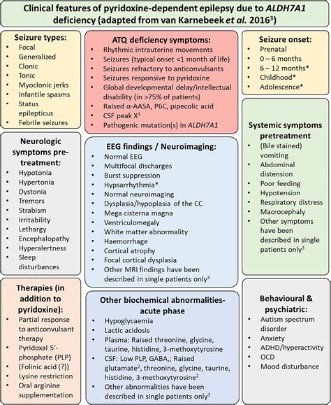 Vitamin B6 Deficiency Symptoms In Adults