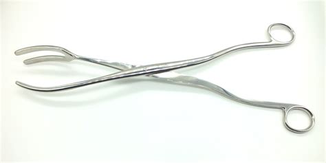 Addler Chittle Forcep 203cm Golden Nimbus
