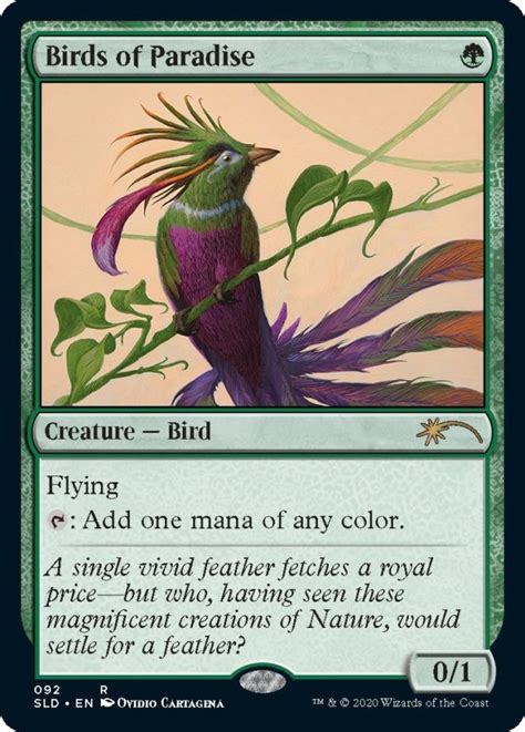 【ornithological Studies】mtg「secret Lair」の新製品「ornithological Studies」が情報